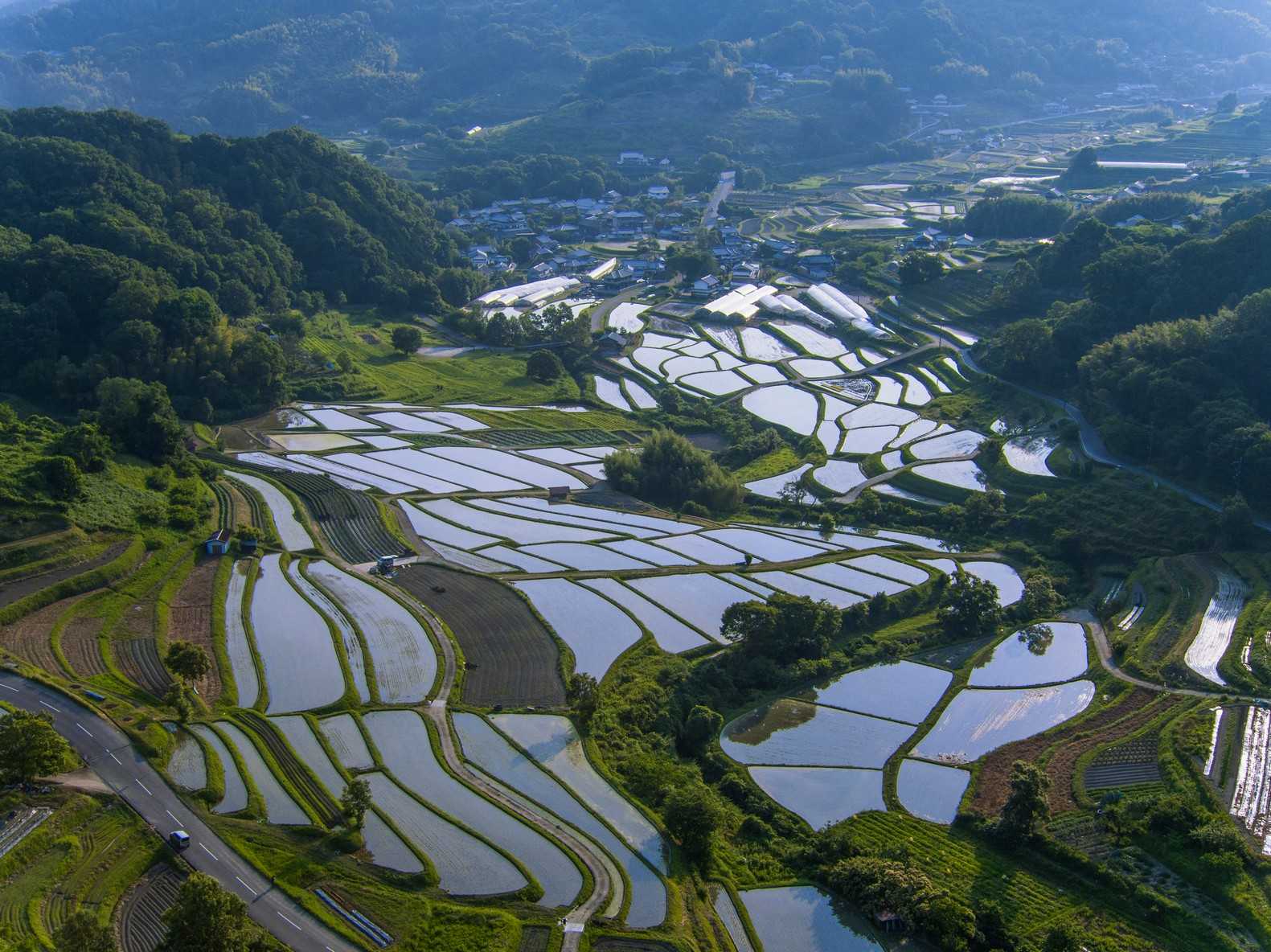 Asuka Japan Landscape