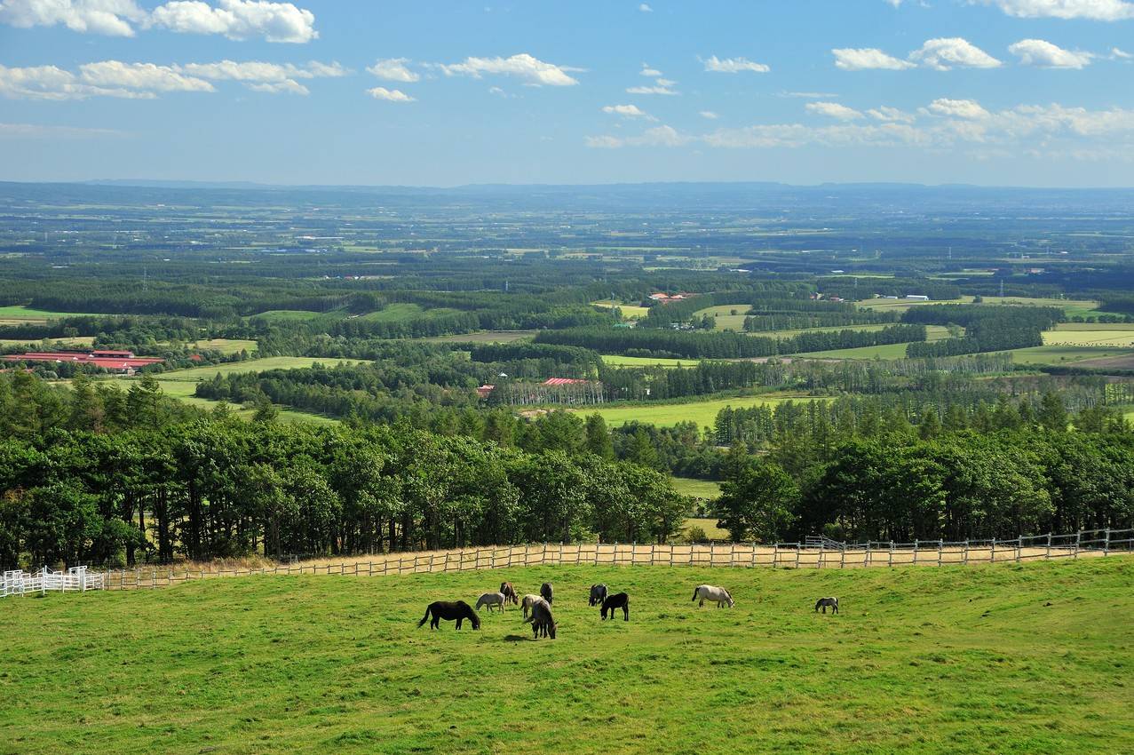 Wanderplans - Obihiro