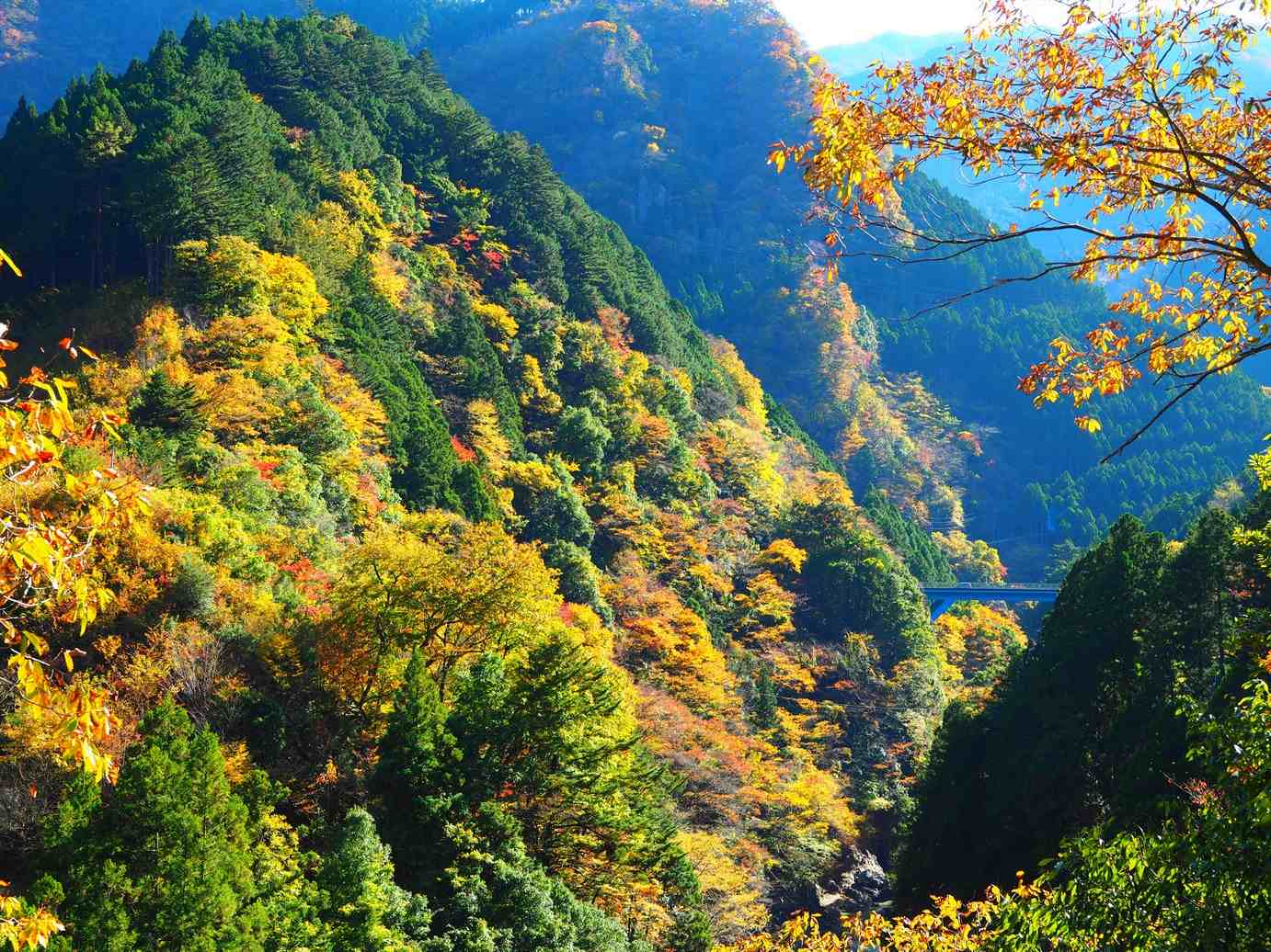 Wanderplans - Okutama