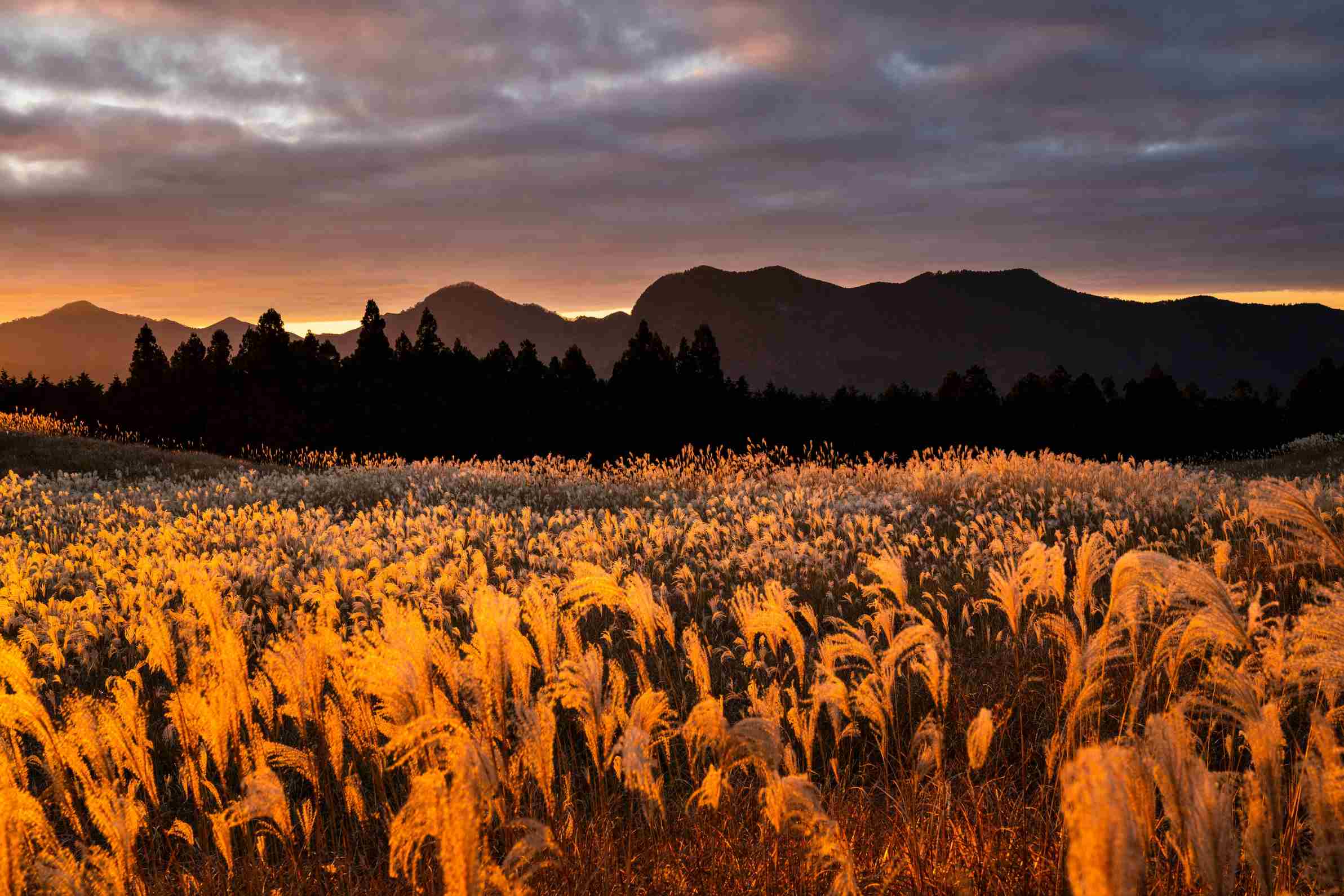 Wanderplans - Soni Highlands